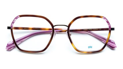 see try in optician s shop